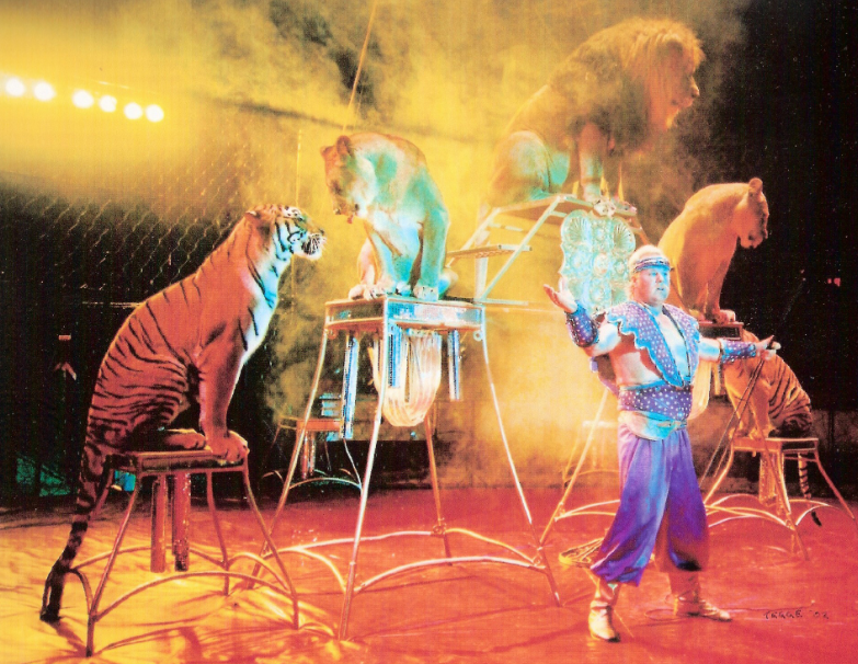 Circus Acts Are Cruel to Wild Animals